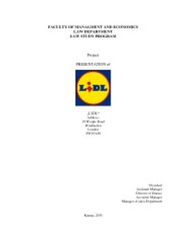 Paper On LIDL Company