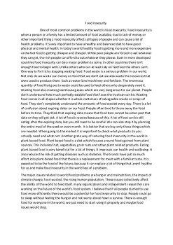 Food Insecurity Essay